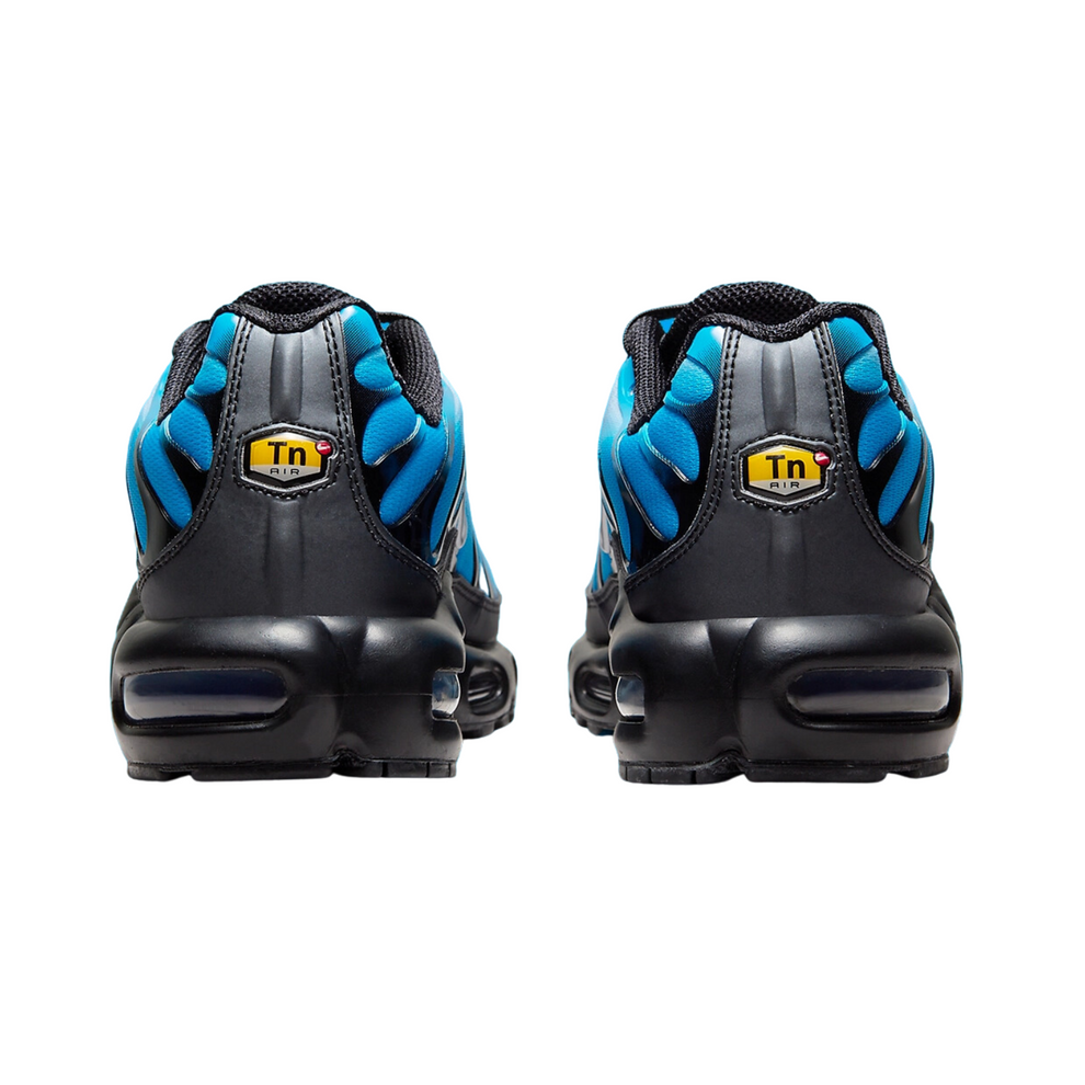Nike Air Max Plus TN Neptune Blue Gradient Chrome Men's - SneakerUp ...