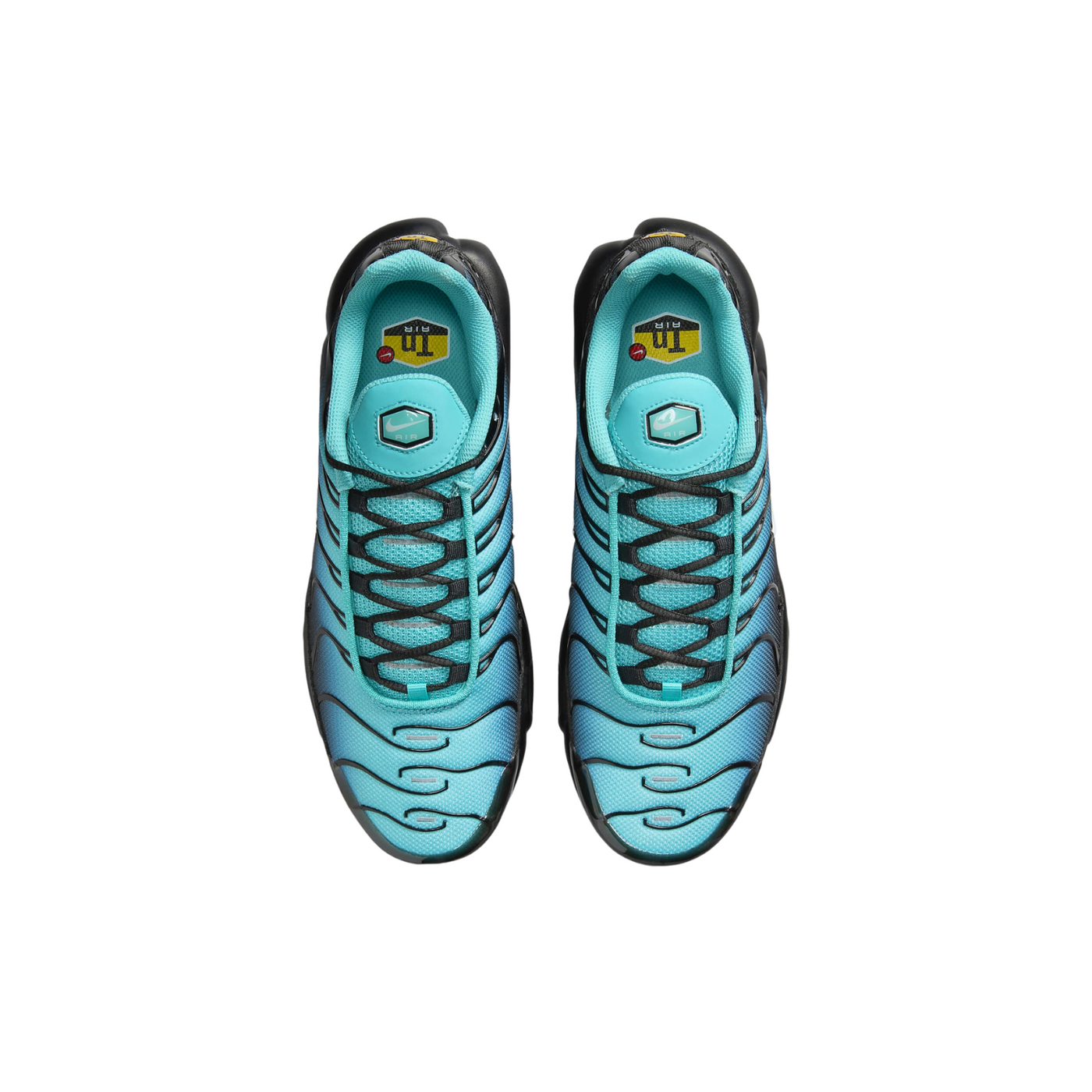 Nike Air Max Plus TN Black Aqua Gradient Caribbean Sea Men's ...
